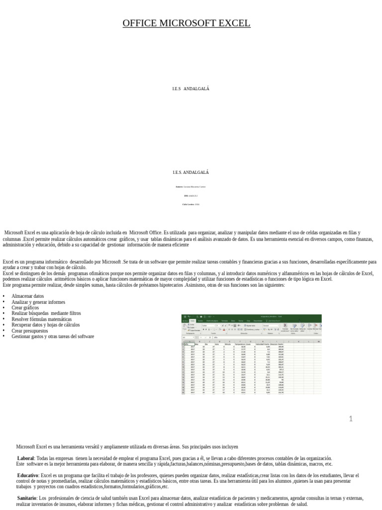 Excel Luciana Macarena | PDF | Microsoft Excel | Microsoft Windows
