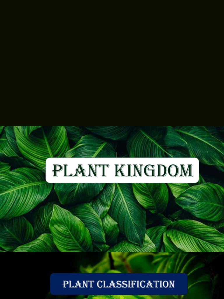 Agni Batch Plant Kingdom Backlog Series Part 1 Notes | PDF