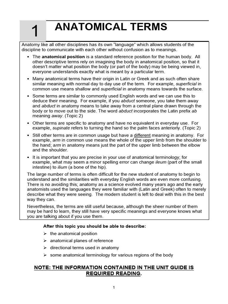 Anatomical terms | PDF | Anatomical Terms Of Location | Thorax