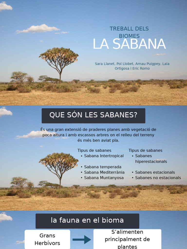 6 - La Sabana | PDF