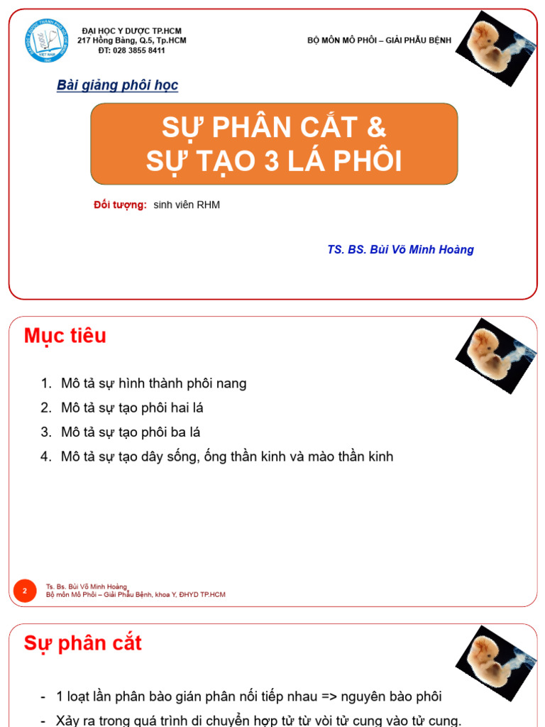 06. Sự biệt hóa ba lá phôi và sự khép phôi (RHM21) | PDF