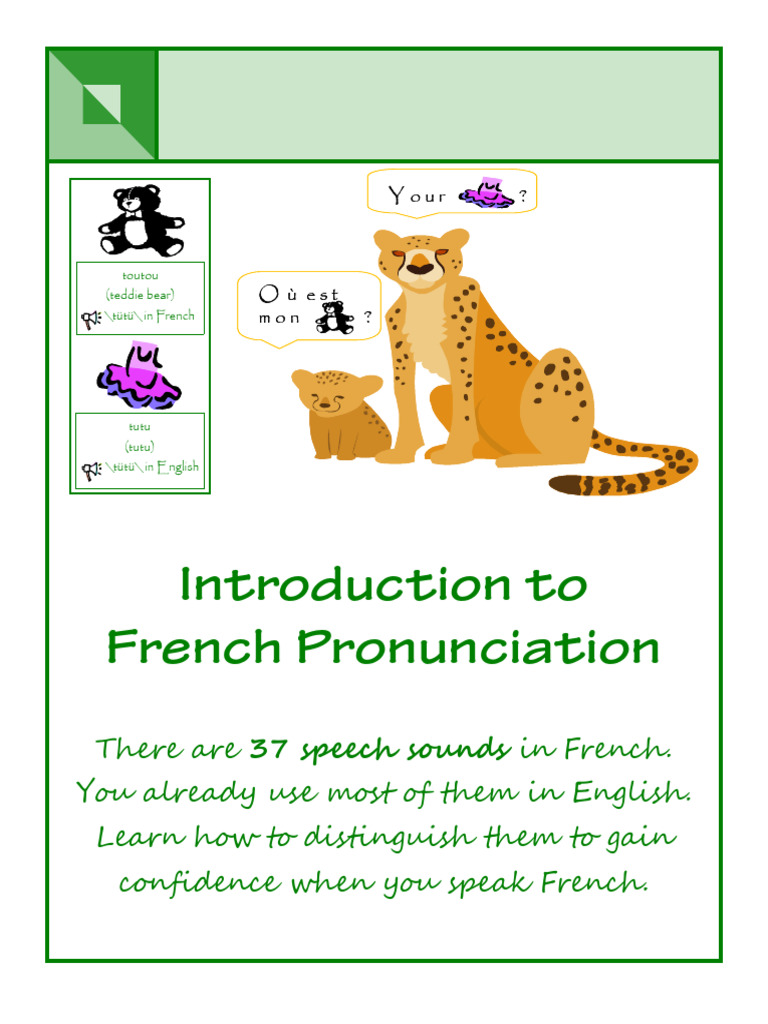 French Pronunciation Essentials | PDF | Grammatical Gender | Syllable