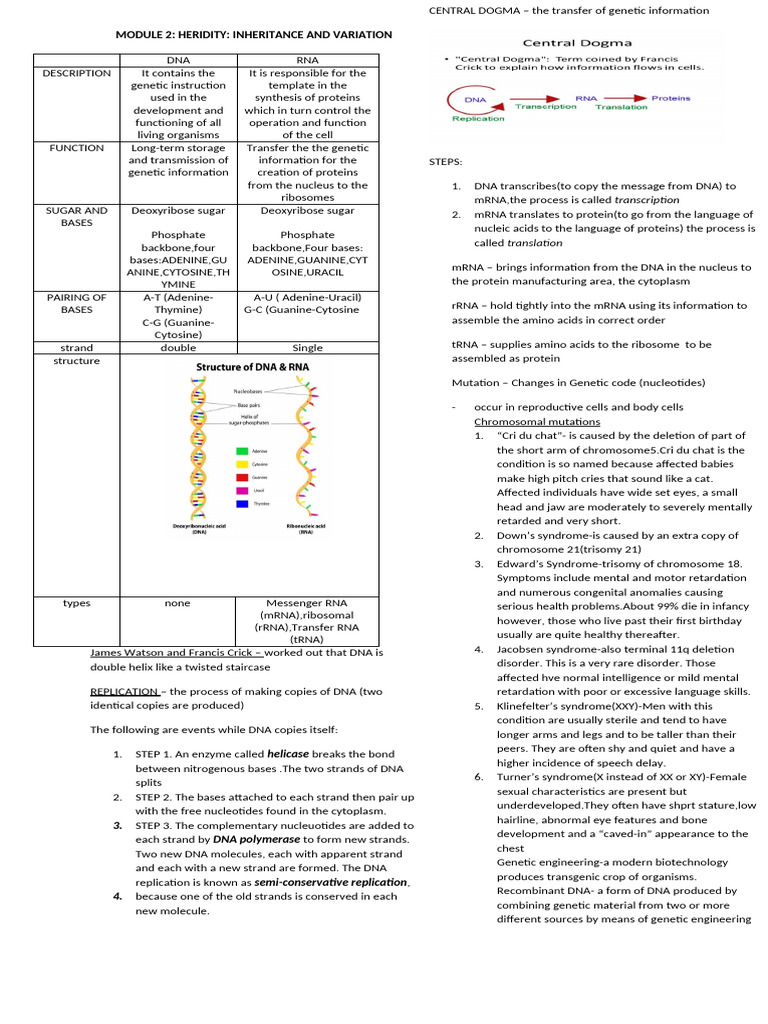 Heredity: DNA, RNA, and Genetic Mutations | PDF | Dna | Nucleic Acid ...