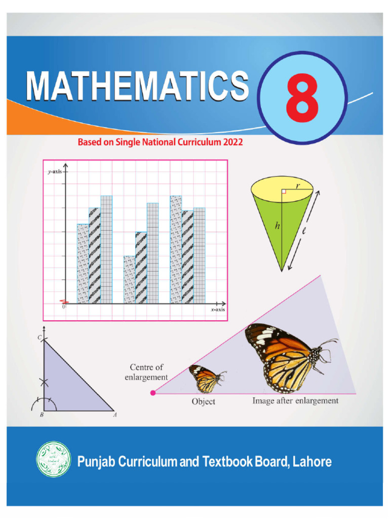 Maths Grade 8 | PDF