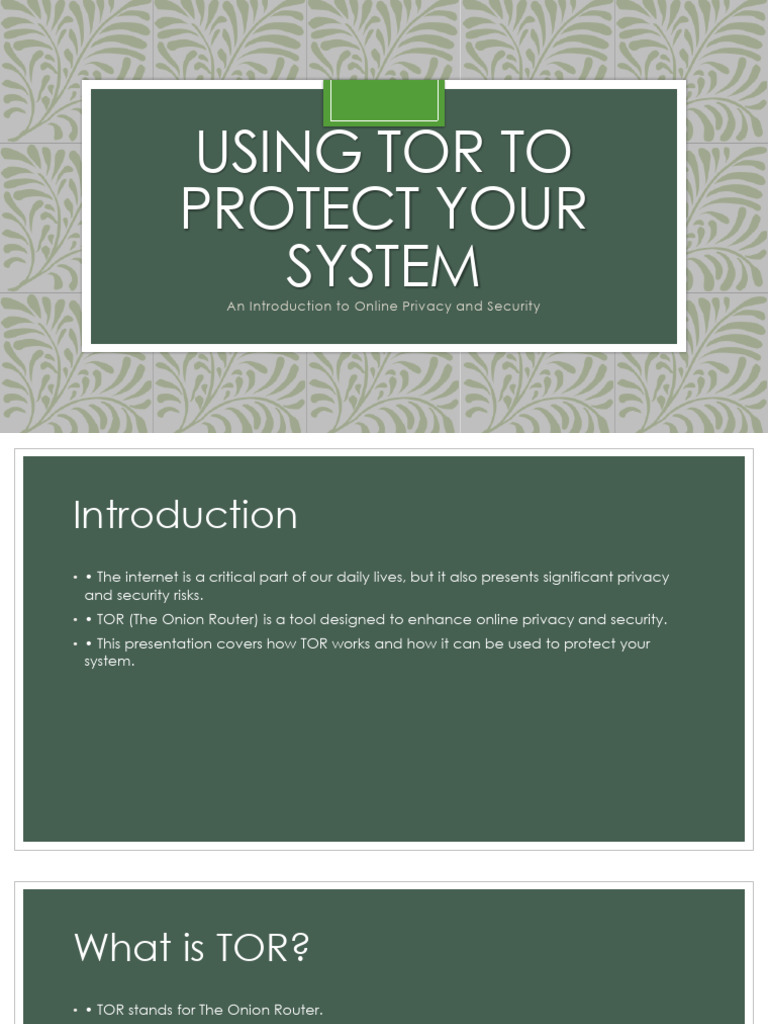 Using TOR To Protect Your System | PDF