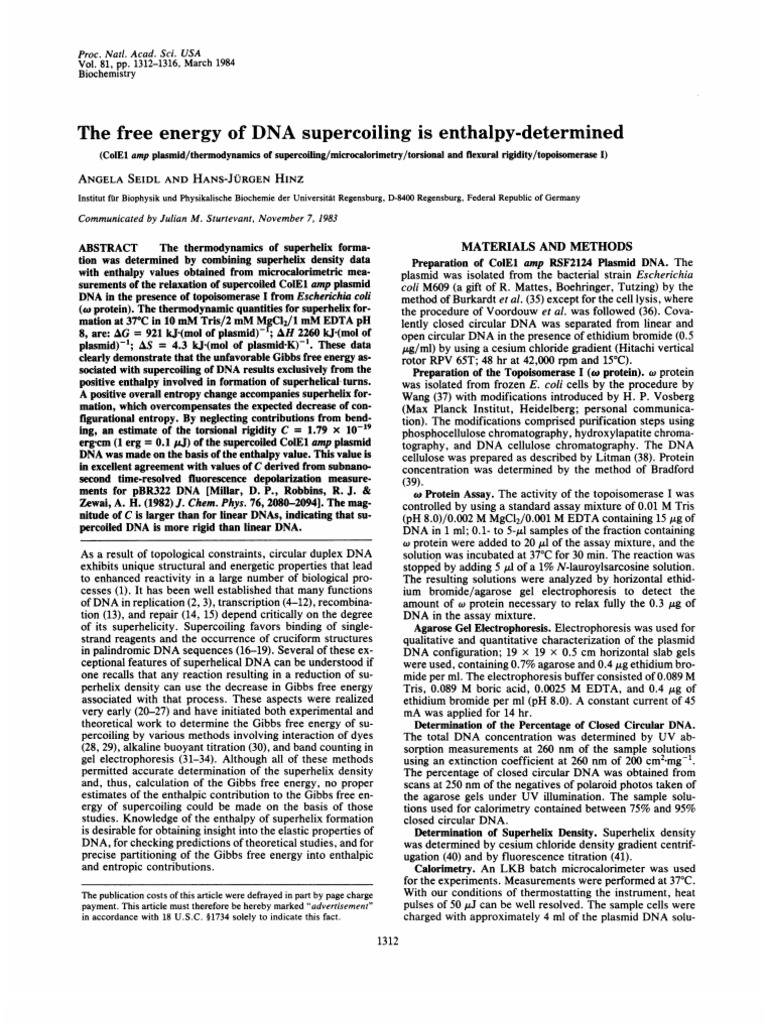 Angela Seidl and Hans-Jurgen Hinz - The Free Energy of DNA Supercoiling ...