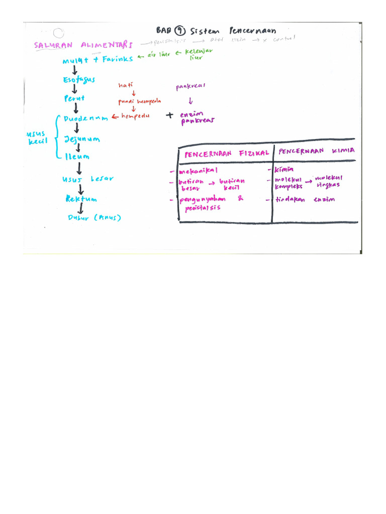 Bio F4 KSSM Bab 9 | PDF