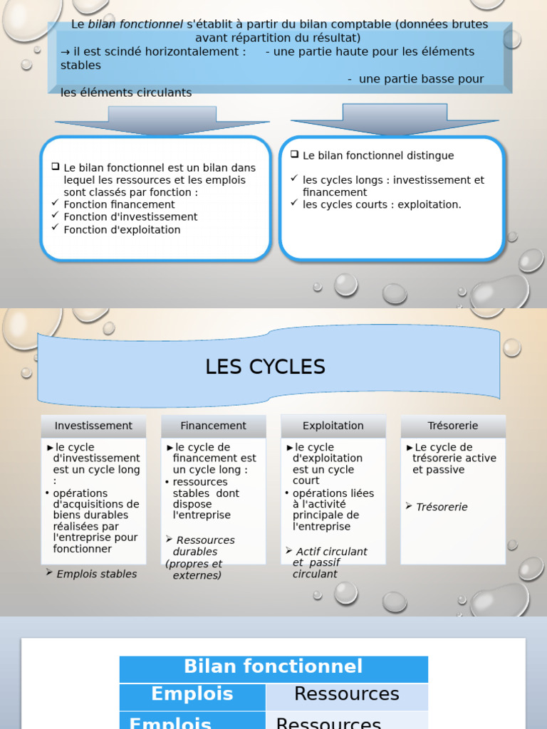 Comprendre le bilan fonctionnel | PDF | Fonds de roulement | Bilan ...