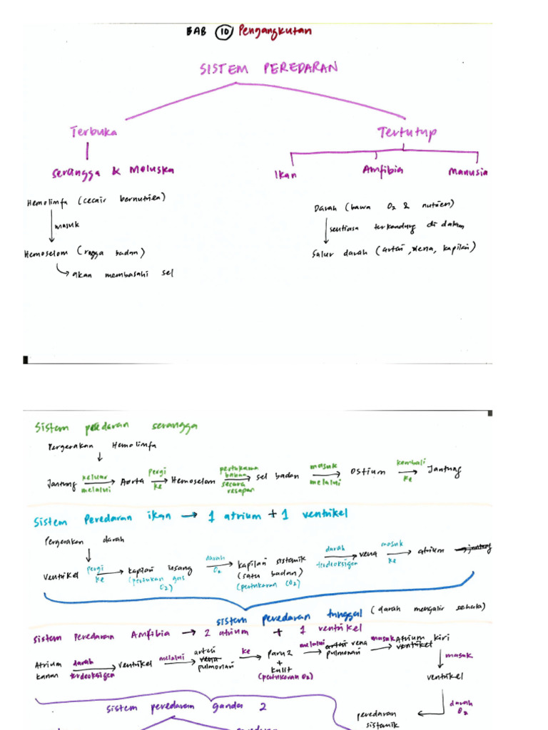 Bio F4 KSSM Bab 10 | PDF