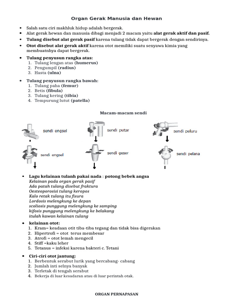Organ Gerak dan Sistem Tubuh Manusia | PDF