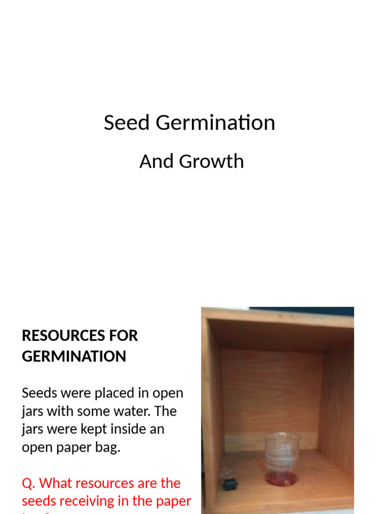 Seed Germination Pdf
