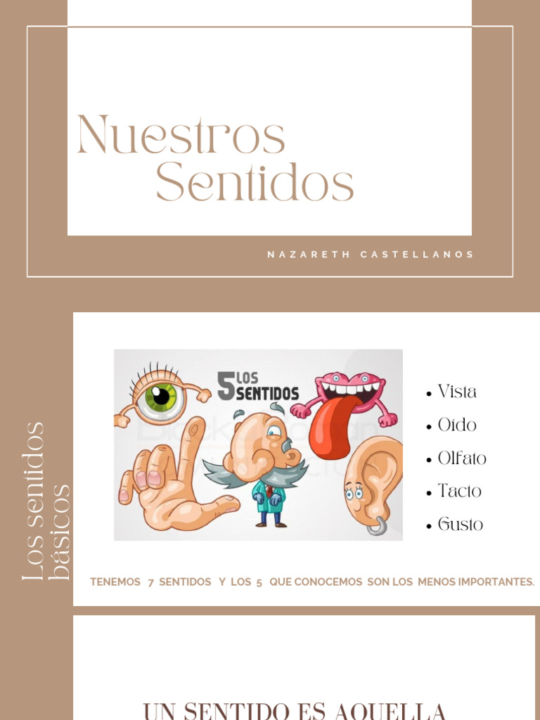 7 Sentidos y Los 5 Que Conocemos Son Los Menos Importantes. | PDF ...