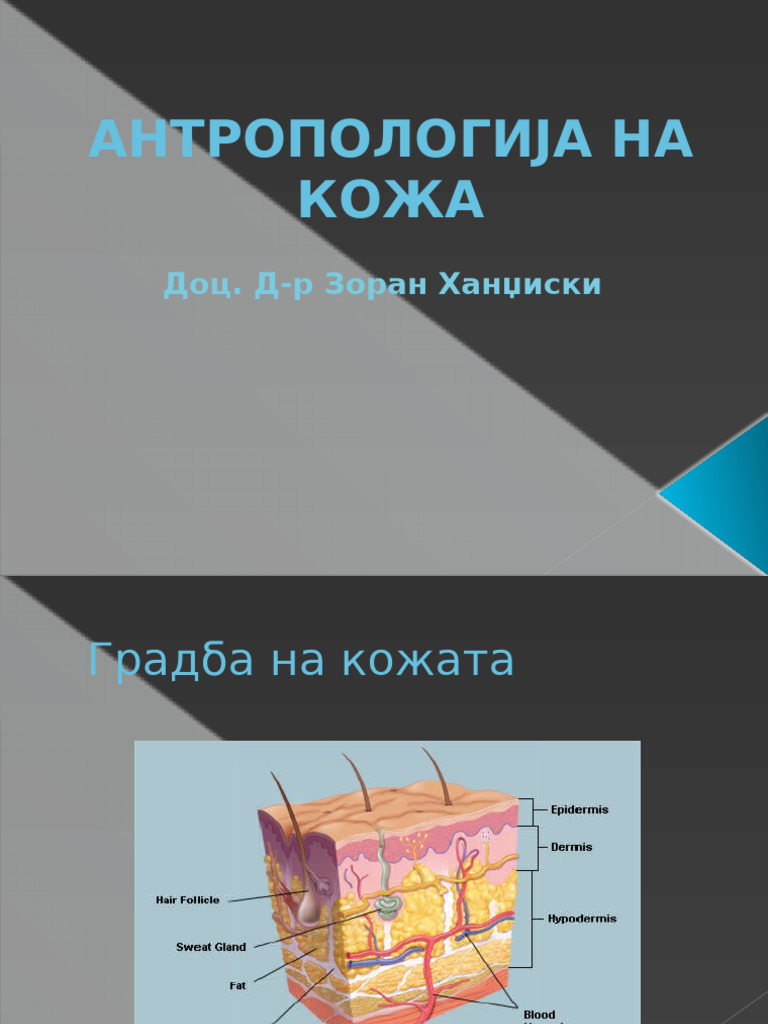 KOZA | PDF