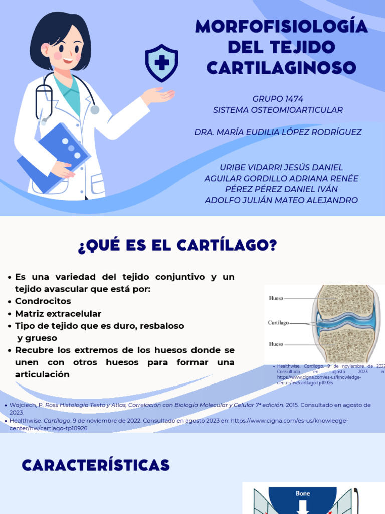 Tejido Cartilaginoso | PDF | Cartílago | Articulación