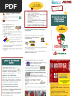 13 Directrices de Cero Tolerencia | PDF | México