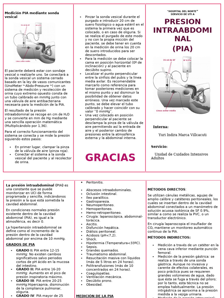 Triptico Pia | PDF | Abdomen | Especialidades Medicas