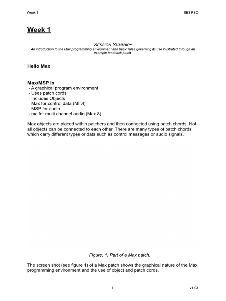 LCMMaxMSPwk1 | PDF | Computer Engineering | Software Engineering