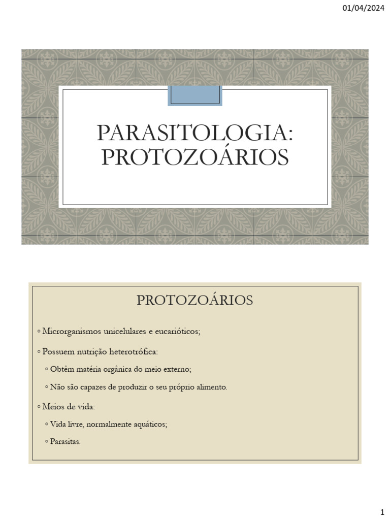 Parasitologia - Protozoários | PDF | Protozoários | Malária