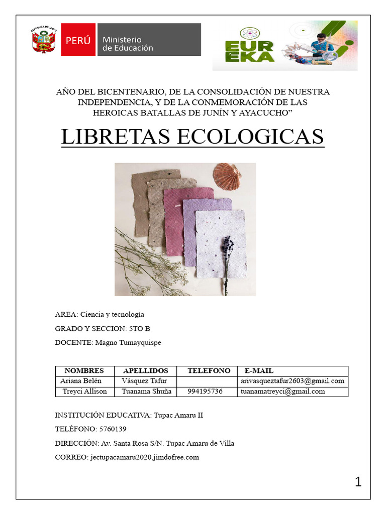 Informe de Proyecto Eureka | PDF | Deforestación | Sustentabilidad