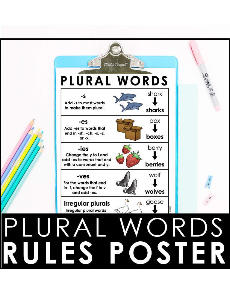 Plural Nouns Rules Poster | PDF | Copyright Law
