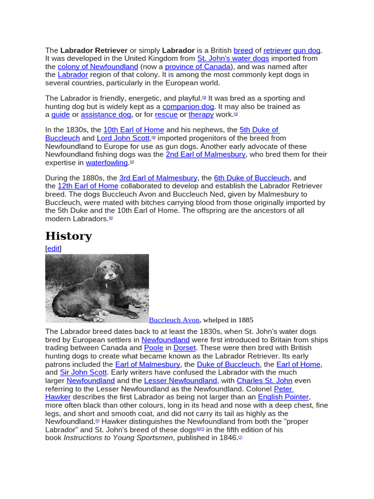 The Dog Pdf Labrador Retriever Dogs