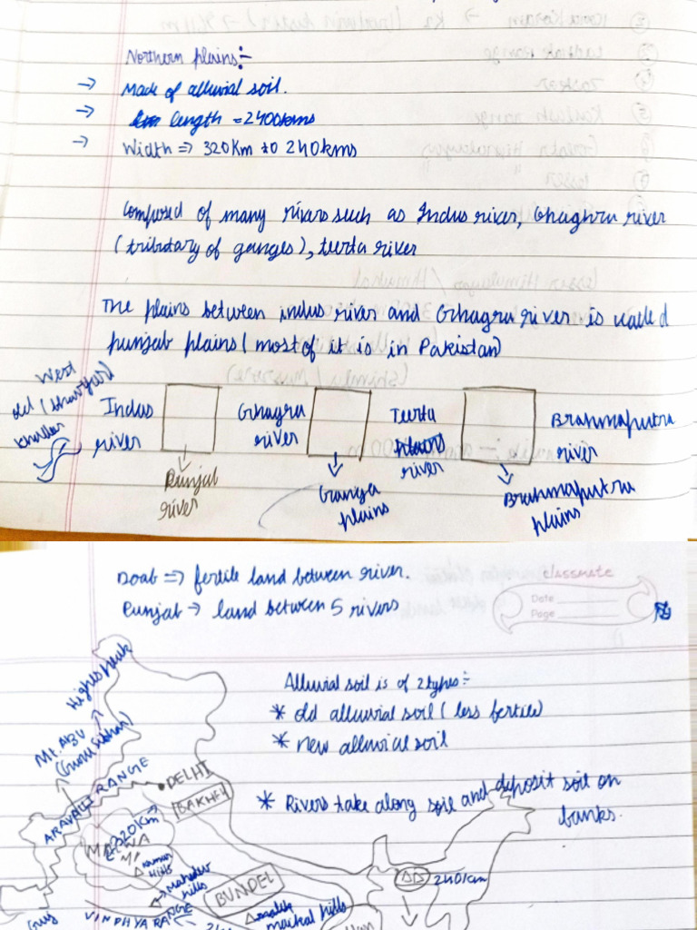 Allen Notes of Social, Bio and Chem. | PDF | Cell Nucleus | Chloroplast