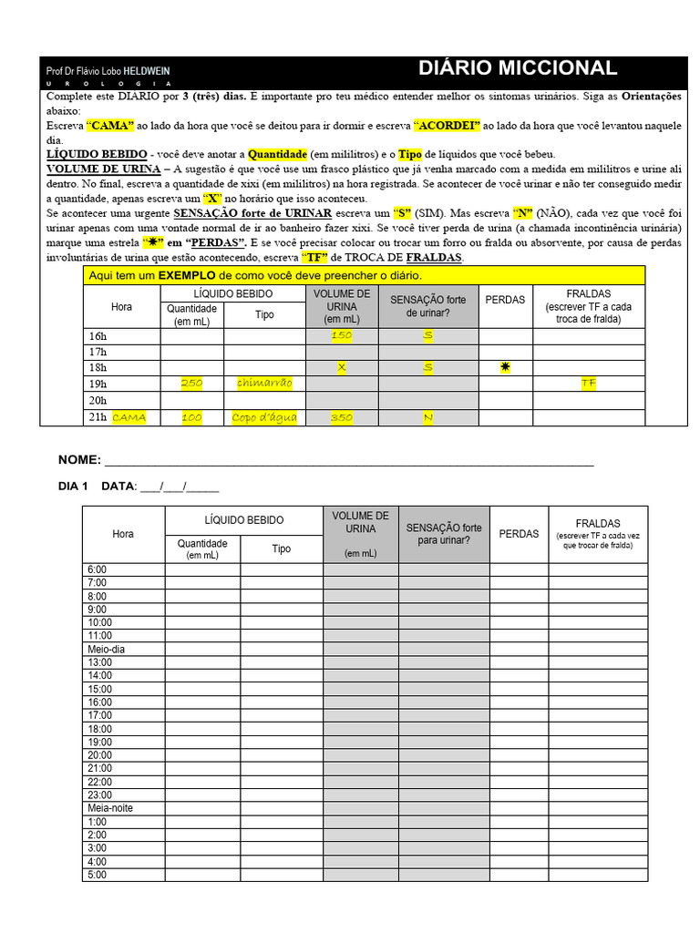 PRONTO Diario Micional BLADDER DIARY Frequency Volume Chart HELDWEIN ...