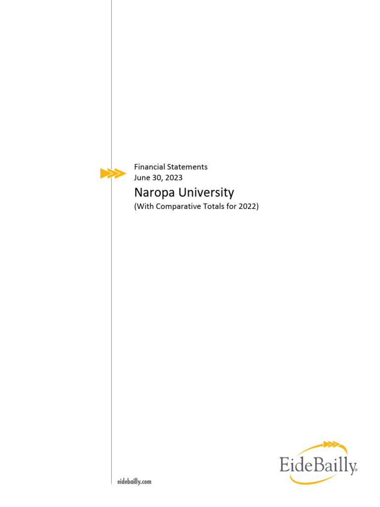 Naropa Audit | PDF | Audit | Expense