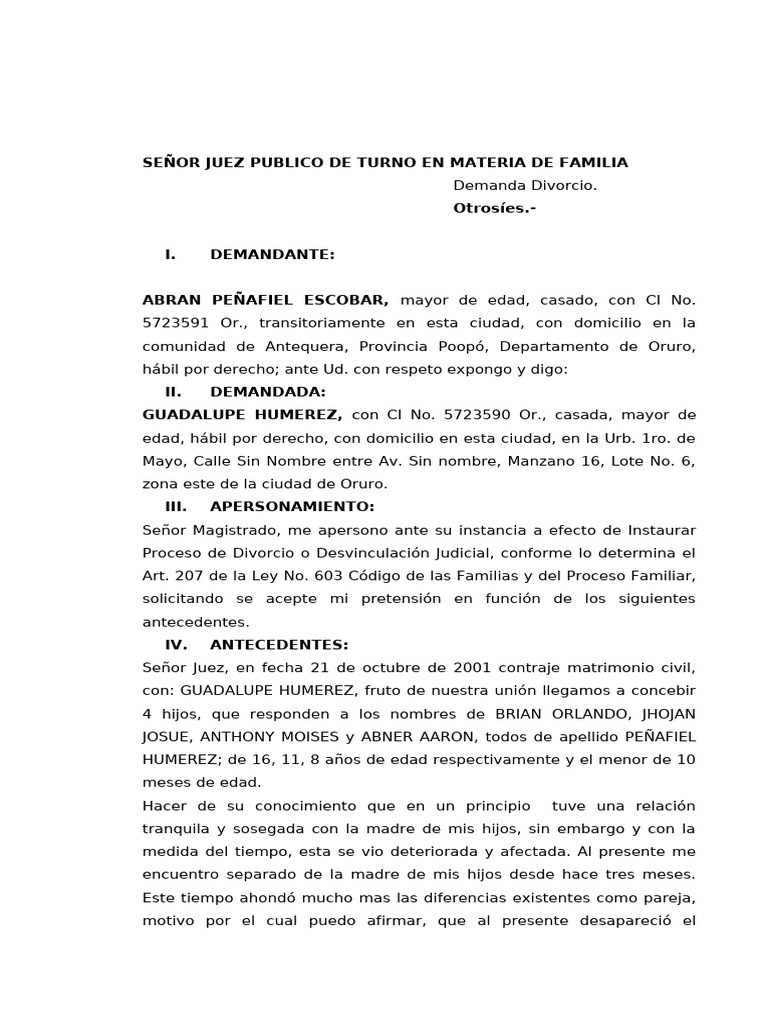 Modelo de Demanda de Divorcio | PDF | Divorcio | Gobierno