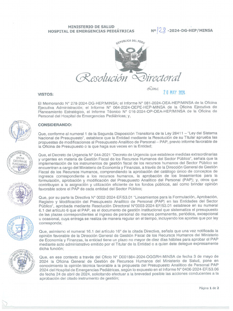 RD 128-2024-Dg-Hep-Minsa - Pap 2024 | PDF