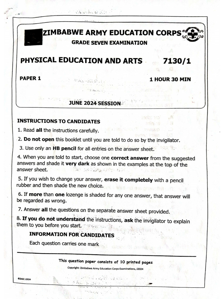 Grade 7 - PE and Arts | PDF