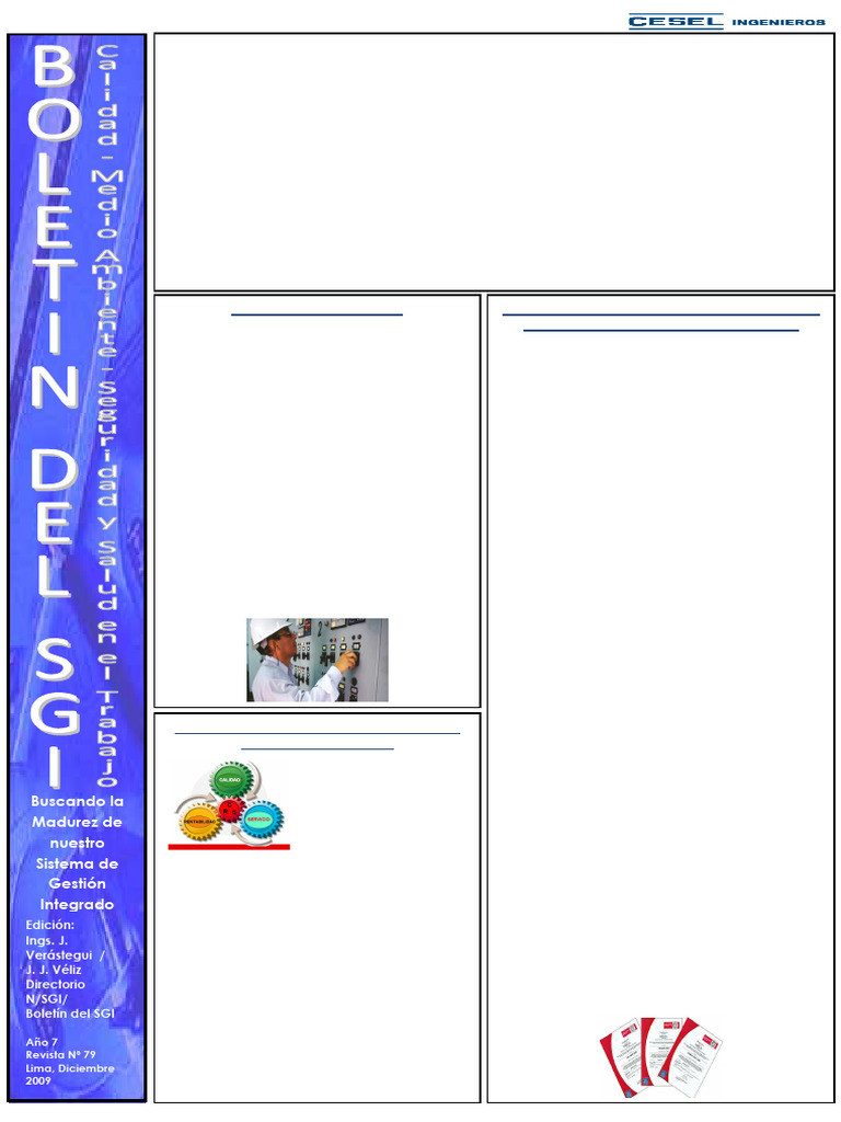 Boletin Del Sgi 079 | PDF | Business | Calidad (comercial)