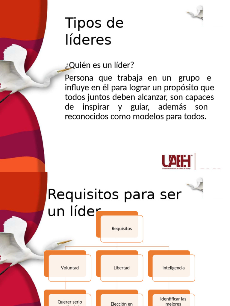 Tipos Lideres | PDF | Liderazgo | Sicología