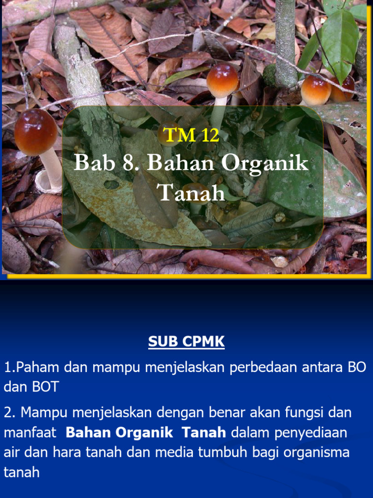 TM 12. Bahan Organik Tanah | PDF | Soil | Organic Matter