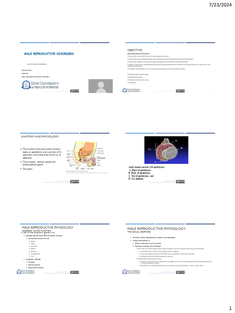 Male Reproductive Disorders Overview | PDF | Prostate | Prostate Cancer