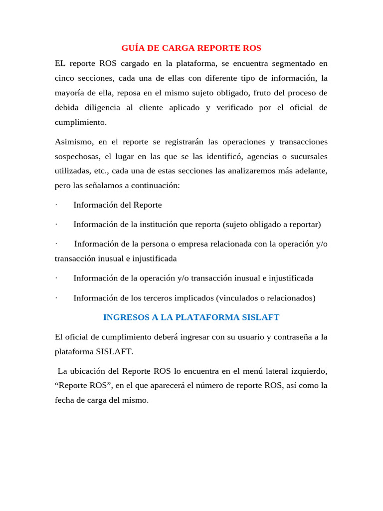 Guía de Carga Reporte Ros | PDF