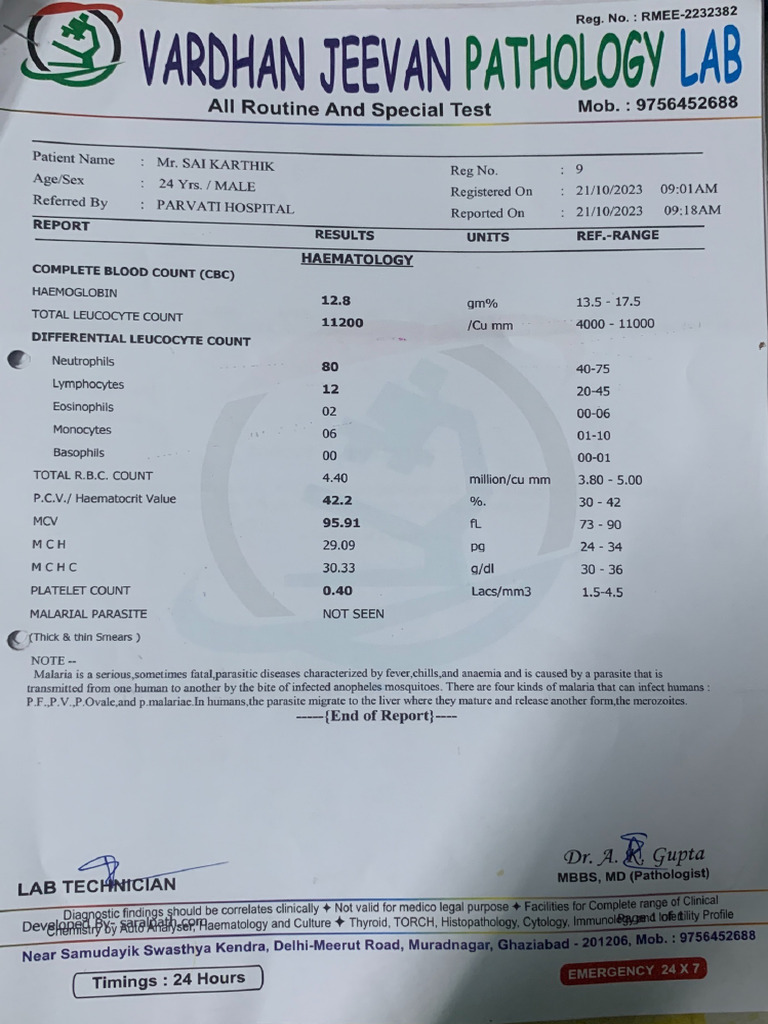 Investigation Reports | PDF