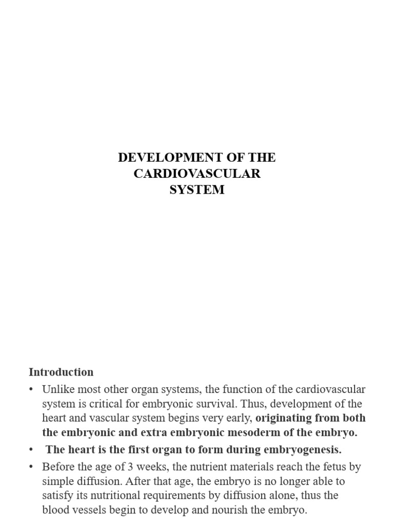Embryo MB II Cvs | PDF | Atrium (Heart) | Heart