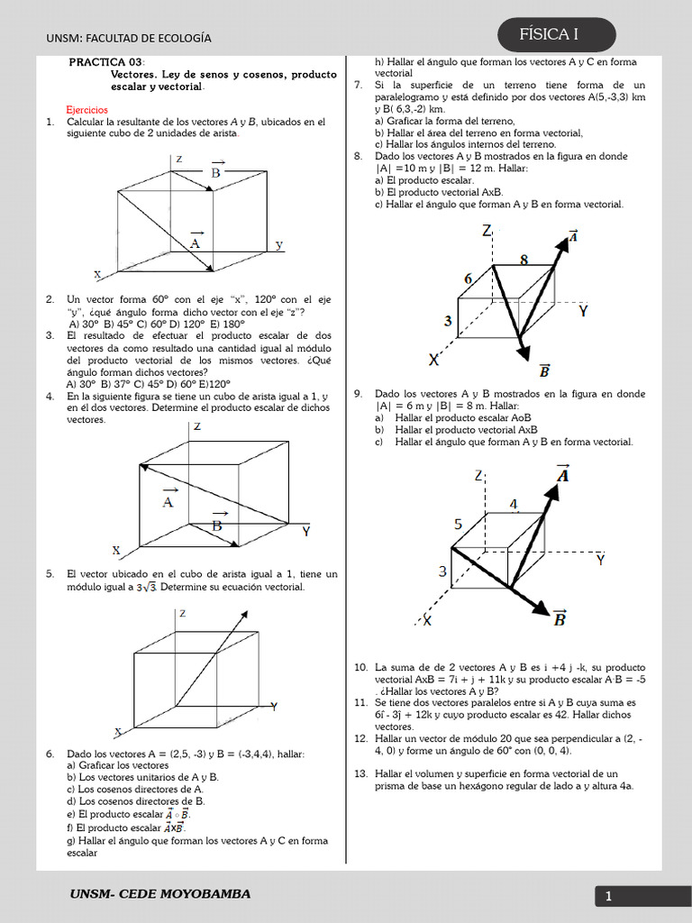 04 Semana Practica 4 Fisica I | PDF | Vector Euclidiano | Escalar (Matemáticas)
