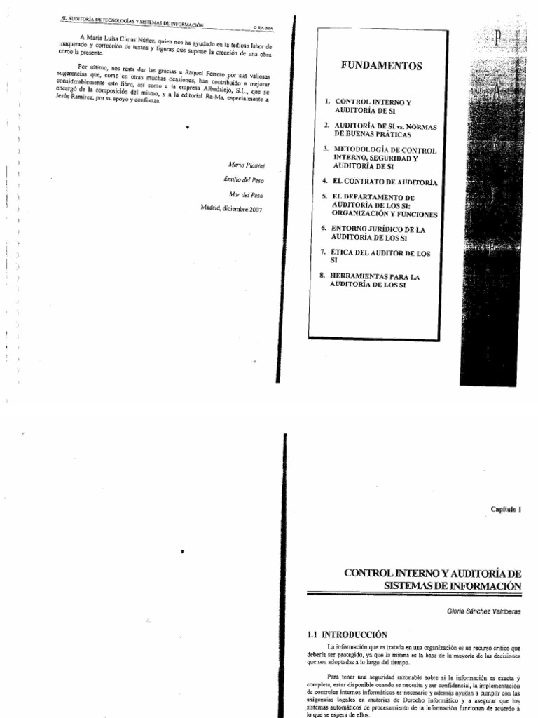 Tema 3.2 - Mario Plattini - Auditoria de TSI - PP 23-44 Cap 1 y Cap2. | PDF