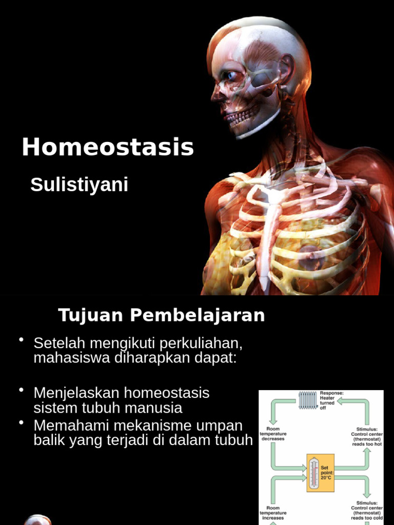 Homeostasis | PDF | Homeostasis | Muscle Contraction
