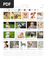 Perro Con Cara de Asco Meme - Buscar Con Google | PDF | Red social ...