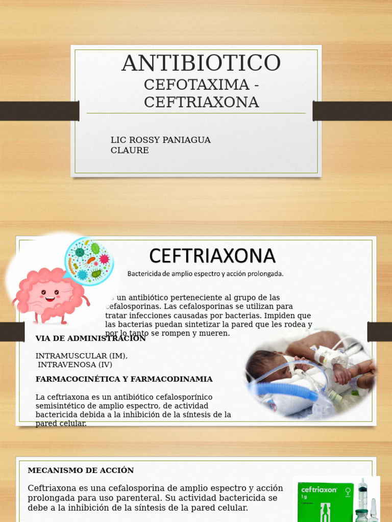 ANTIBIOTICO CEFTRIAXONA - CEFO | PDF | Penicilina | Medicina CLINICA