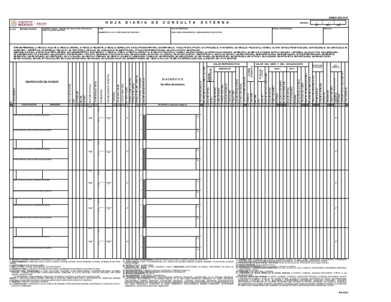 Hoja-Diaria-Consulta Externa-Sinba-Sis-01-P 2023 | PDF | Medicina | Especialidades Medicas