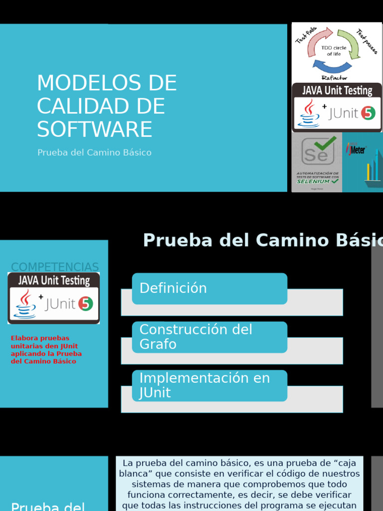 8 Prueba Camino Básico | PDF | Programa de computadora | Programación