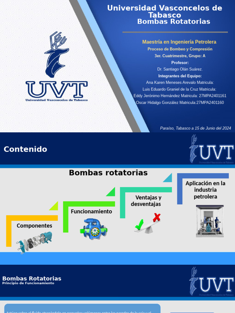 Bombas Rotatorias | PDF | Bomba | Engranaje