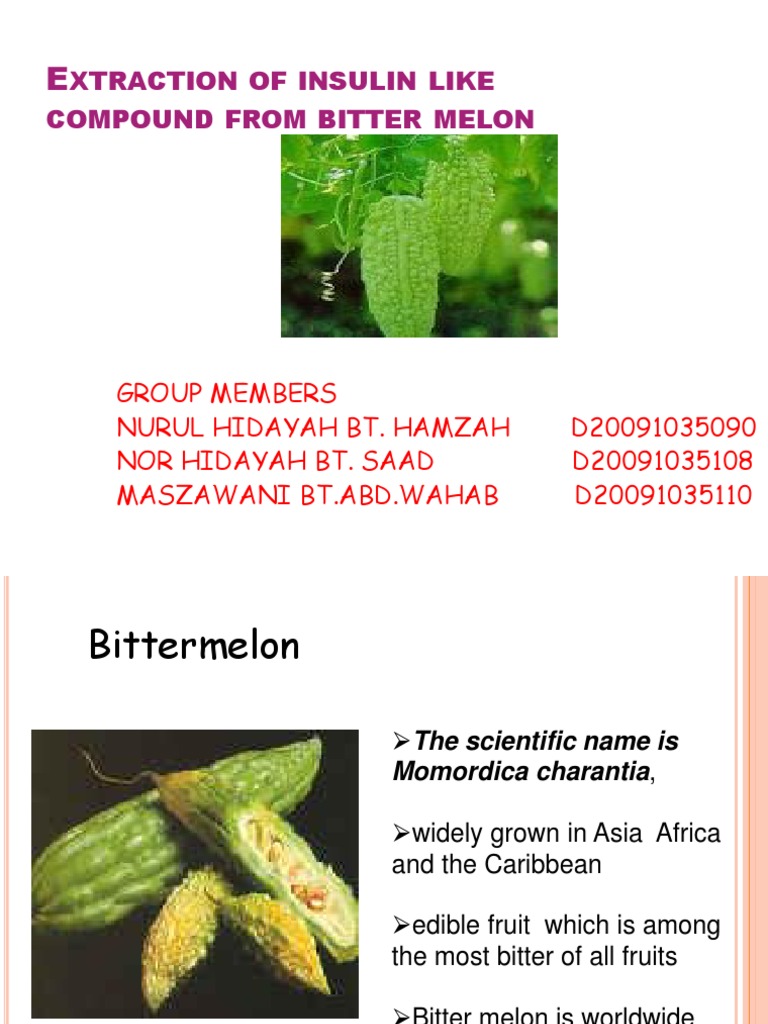 Extraction of Insulin Like Compound From Bitter Melon | PDF | High Performance Liquid ...