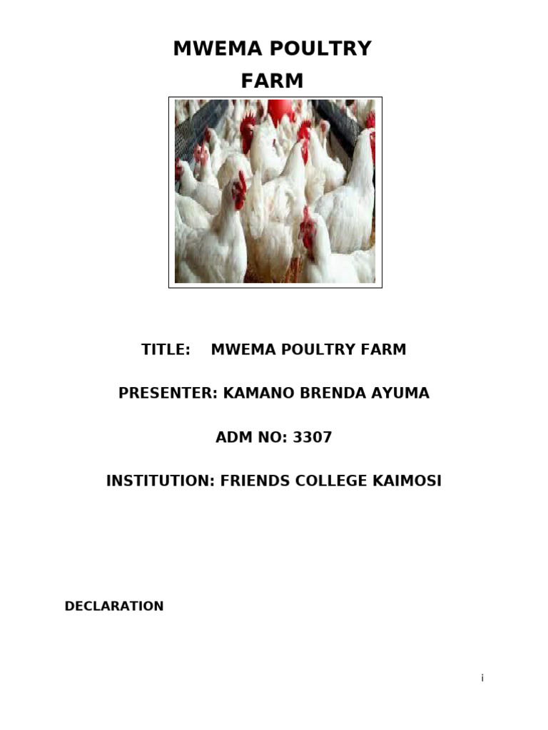 Brenda Ayuma Business Plan | PDF | Discounting | Sales