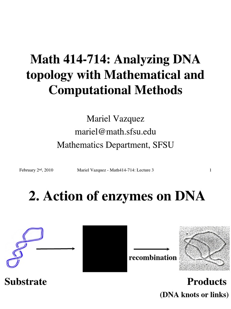 Mariel Vazquez - Analyzing DNA Topology With Mathematical and ...