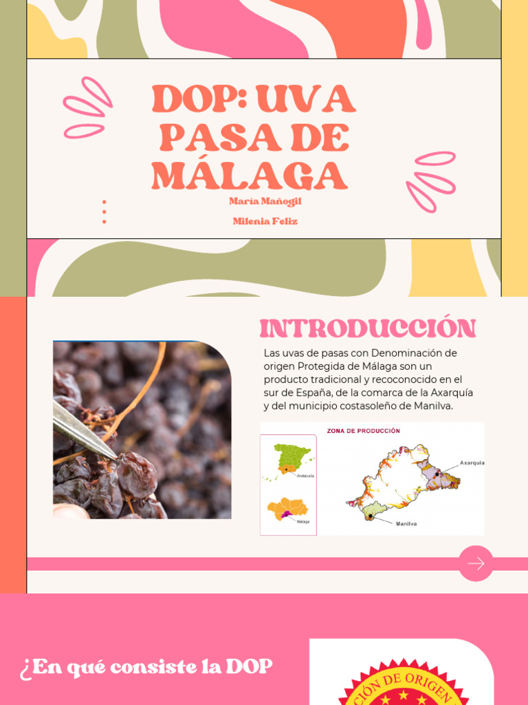 Sandra Haro | PDF | Uva | Nutrición